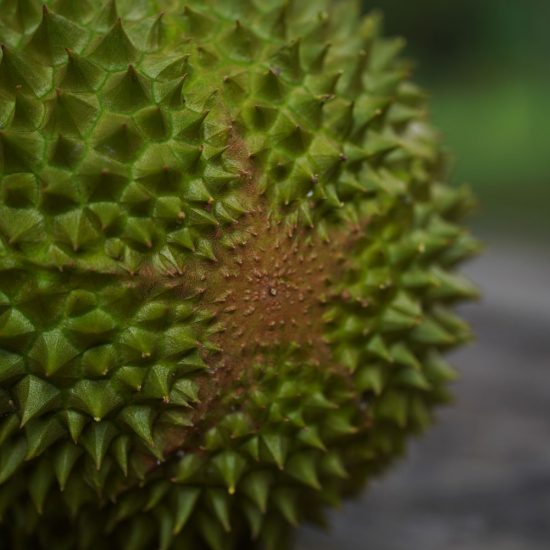 D197 Musang King Pulp 400g A grade fresh pulp